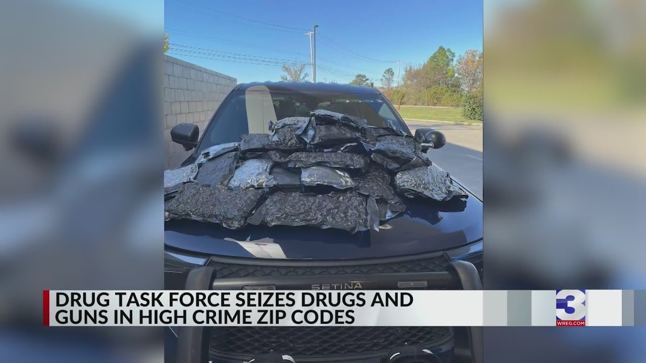 TN drug task force seizes over 40lbs of marijuana, illegal weapons ...