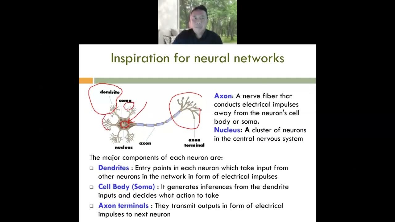 Lecture 5 Neural Network - YouTube