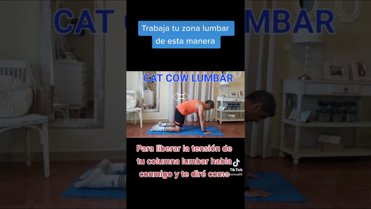 CAT COW LUMBAR #movilidadactiva #movilidad #salud #fitness - YouTube