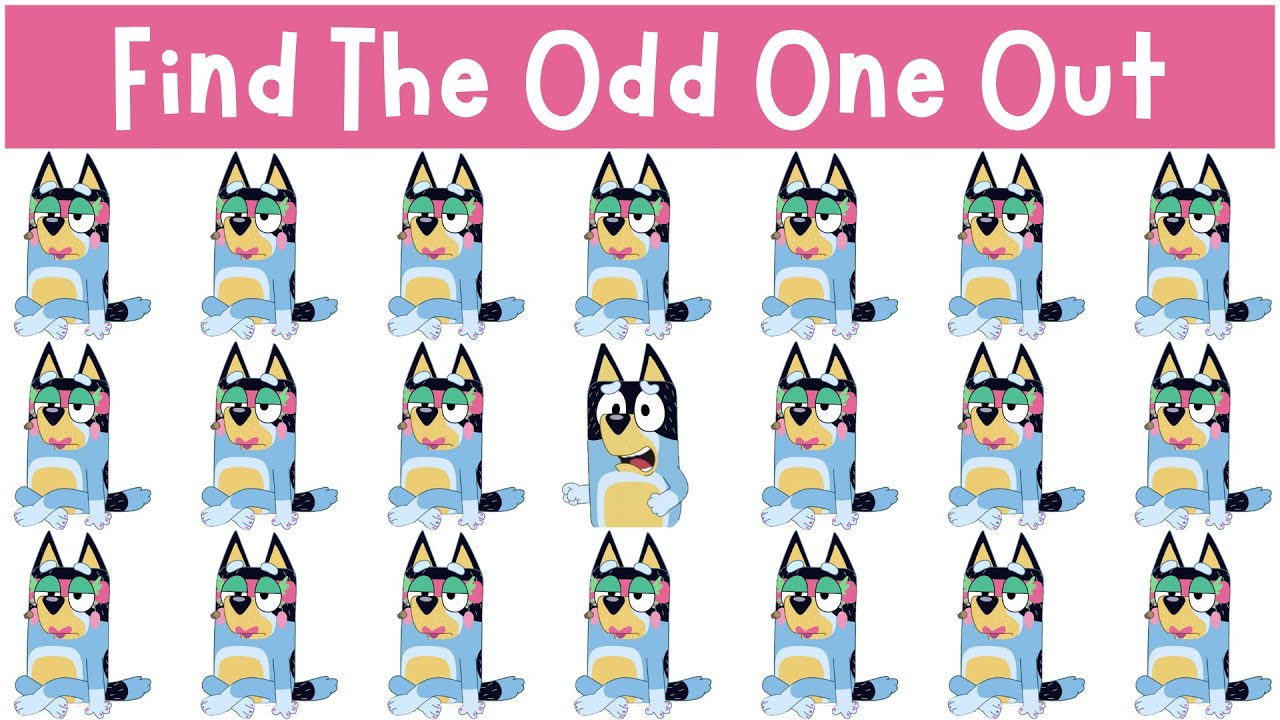 Find The Odd One Out: All BANDIT Puzzles - YouTube