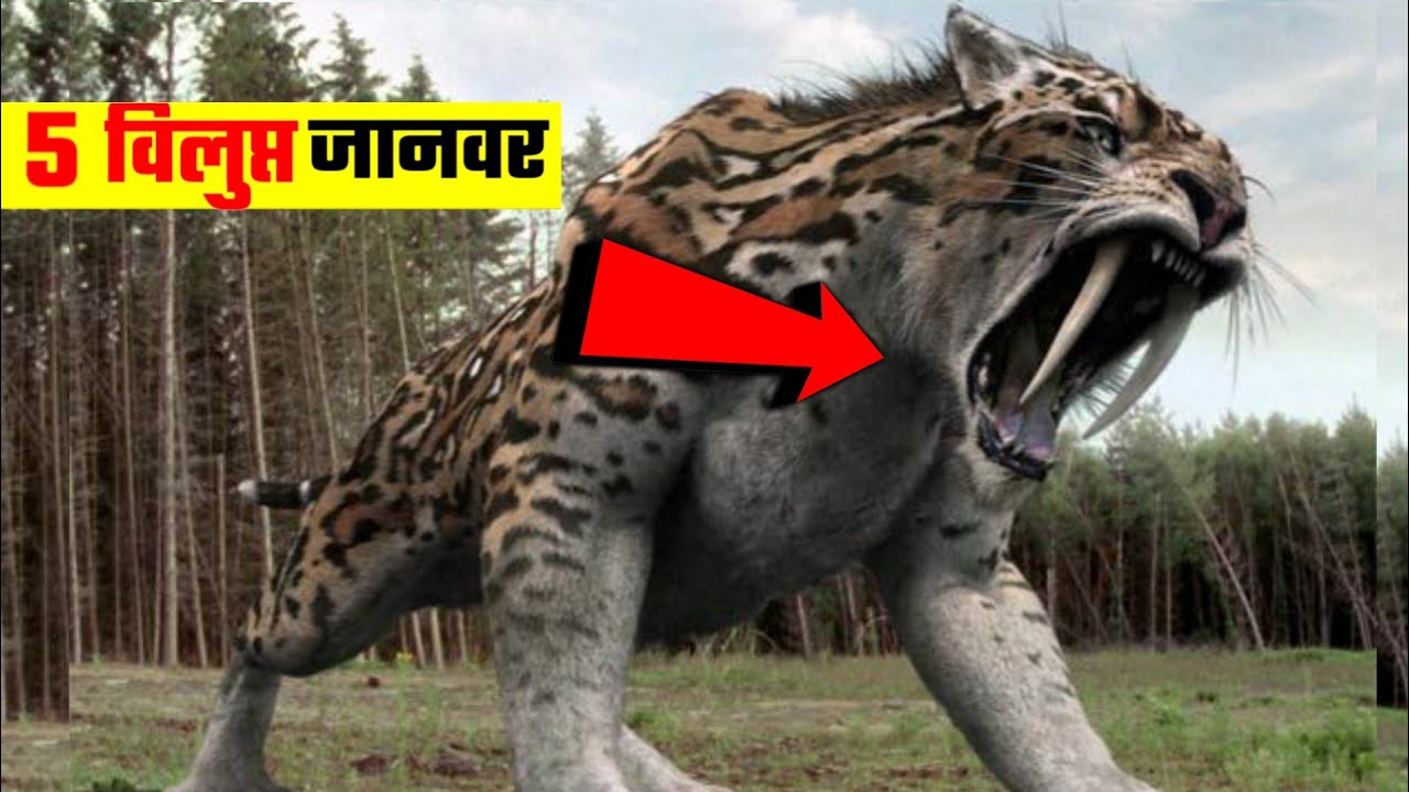 5 रहस्यमयी विलुप्त जानवर । 5 mysterious extinct animals । #रहस्यमयी # ...