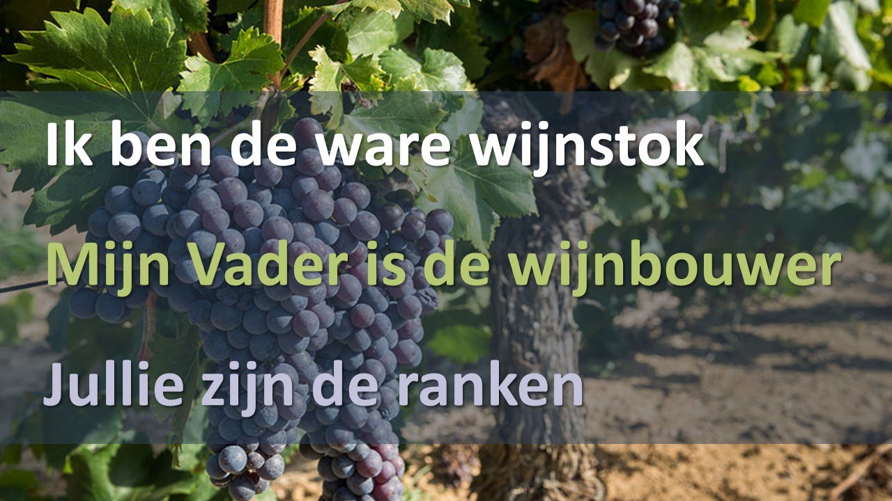 Vrucht dragen - YouTube