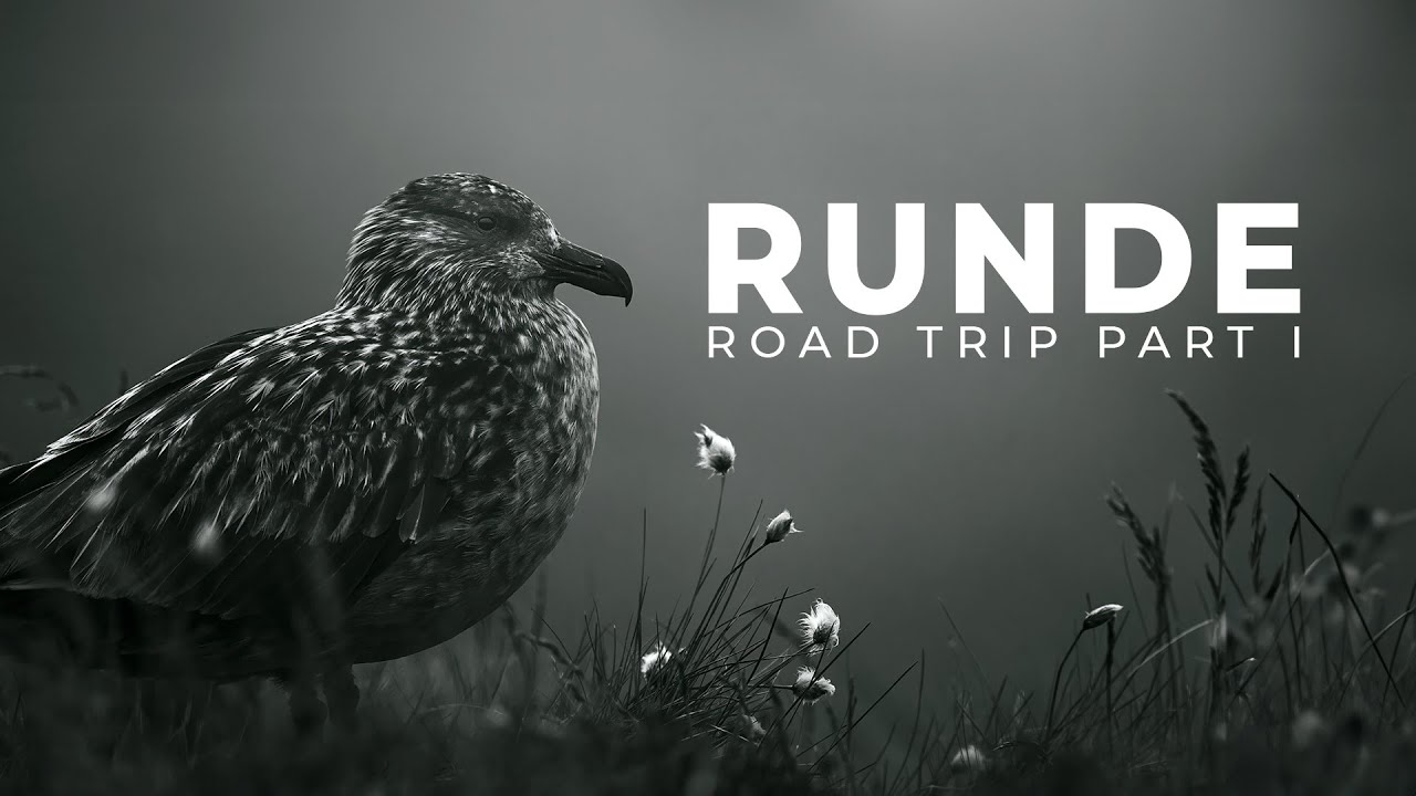 Road Trip to Runde Bird Island | Bird Photography | BioFoto Part 1/2 ...