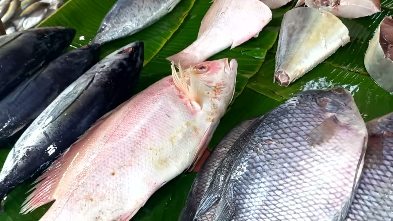 Pilih Pilih Ikan Segar Ada Bawal,Kakap,Kembung dll..Rame Deh Pokoknya ...