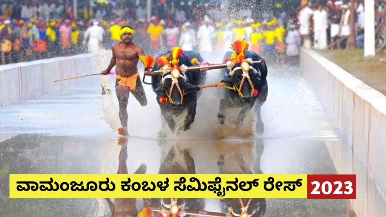 Vamanjoor Kambala Semi Final Race 2023 | Namma Kambala - YouTube