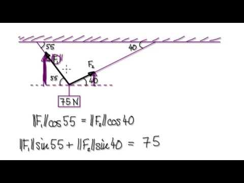 Video 2876 - Vector applications problems - Practice - YouTube