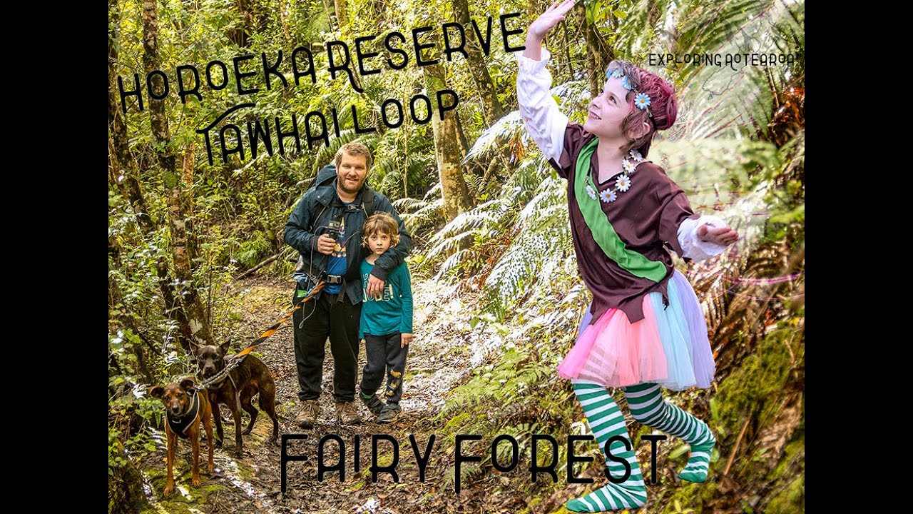 Exploring Aotearoa - Horoeka Tawhai Loop - Gravity Testing the Fairy ...