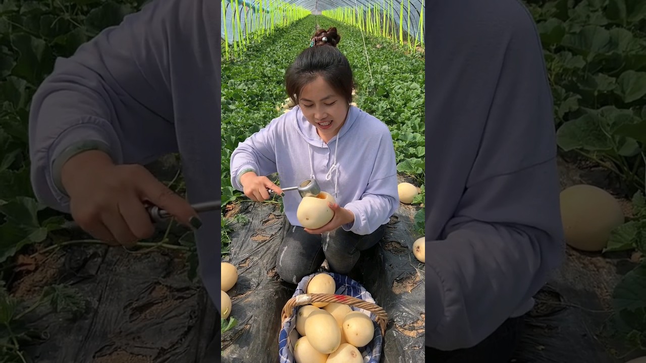 April 17, 2024 - YouTube