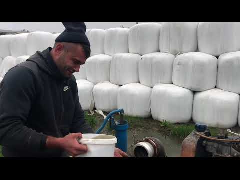 Çiftlik Hayatı - Yağmurlu gün rutini. Vlog#13