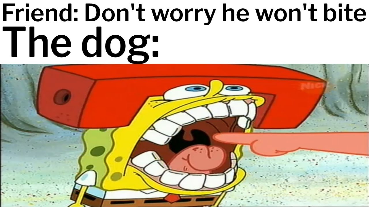 Daily Meme Journal 1 - YouTube