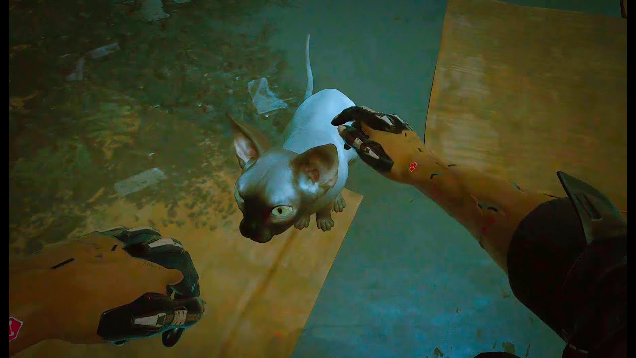 Mr. Brightman - Cyberpunk 2077 - YouTube