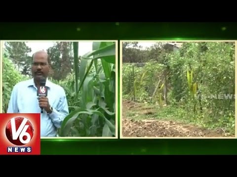 Composite Agriculture | Benefits and Profits to Farmers with Composite ...