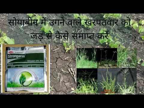 strongarm herbicide//diclosulam 84% wdg//kharpatwar nashak//Dow agro ...
