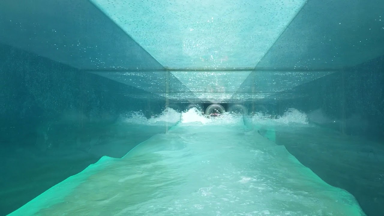 Shark tube ride Atlantis 2019 - YouTube