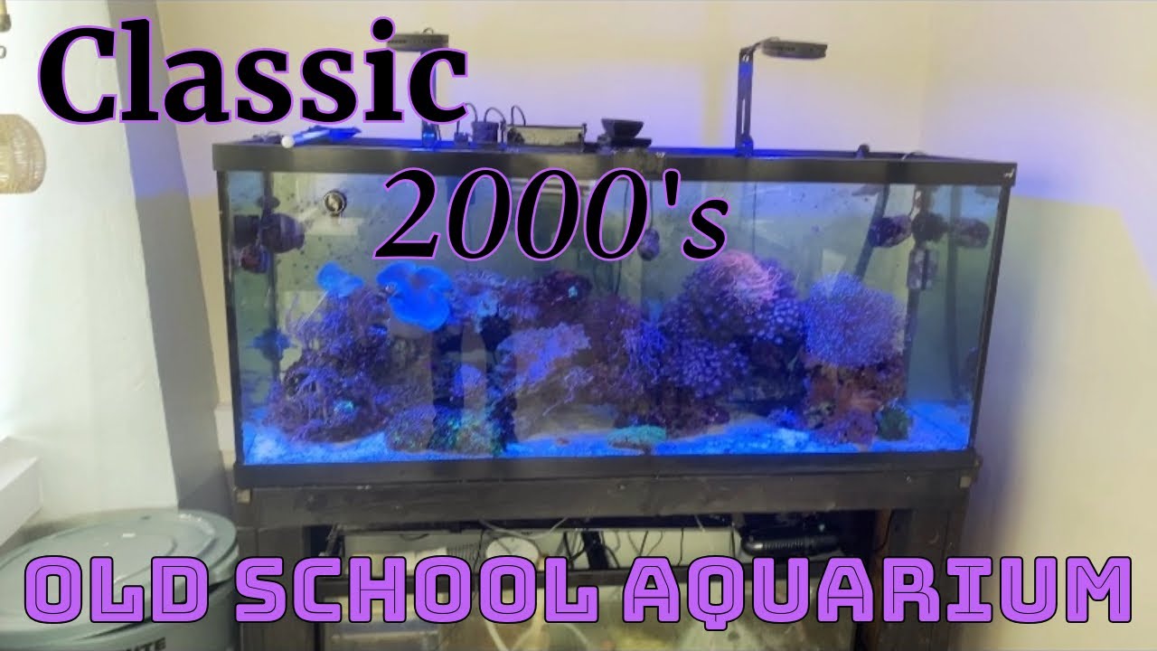 Old school Saltwater Fish Tank - YouTube