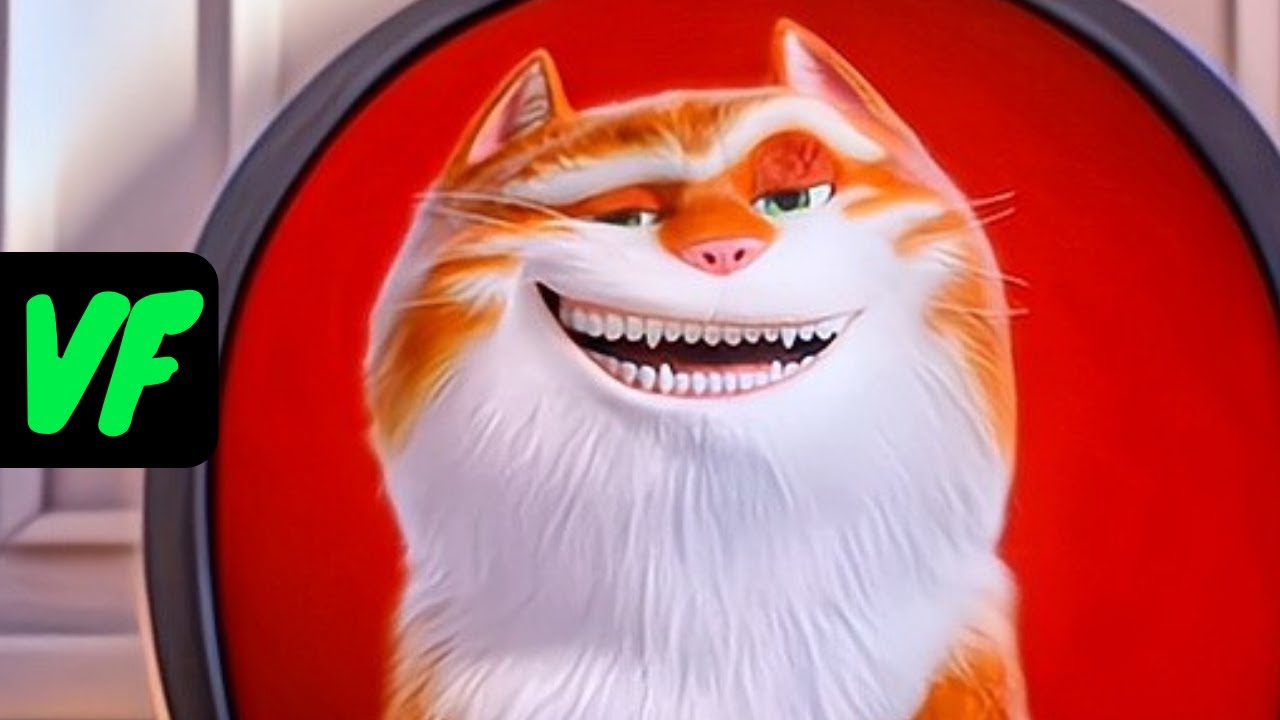 MAURICE LE CHAT FABULEUX Bande Annonce Trailer VF (2023) - YouTube