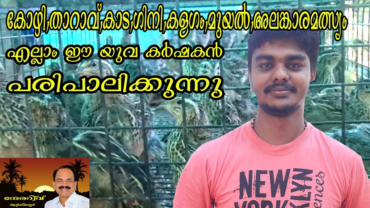 പഞ്ചായത്ത്‌ യുവ കർഷകൻ അവാർഡ് നേടിയ യുവാവിന്റെ വിജയ ഗാഥാ|| Young ...