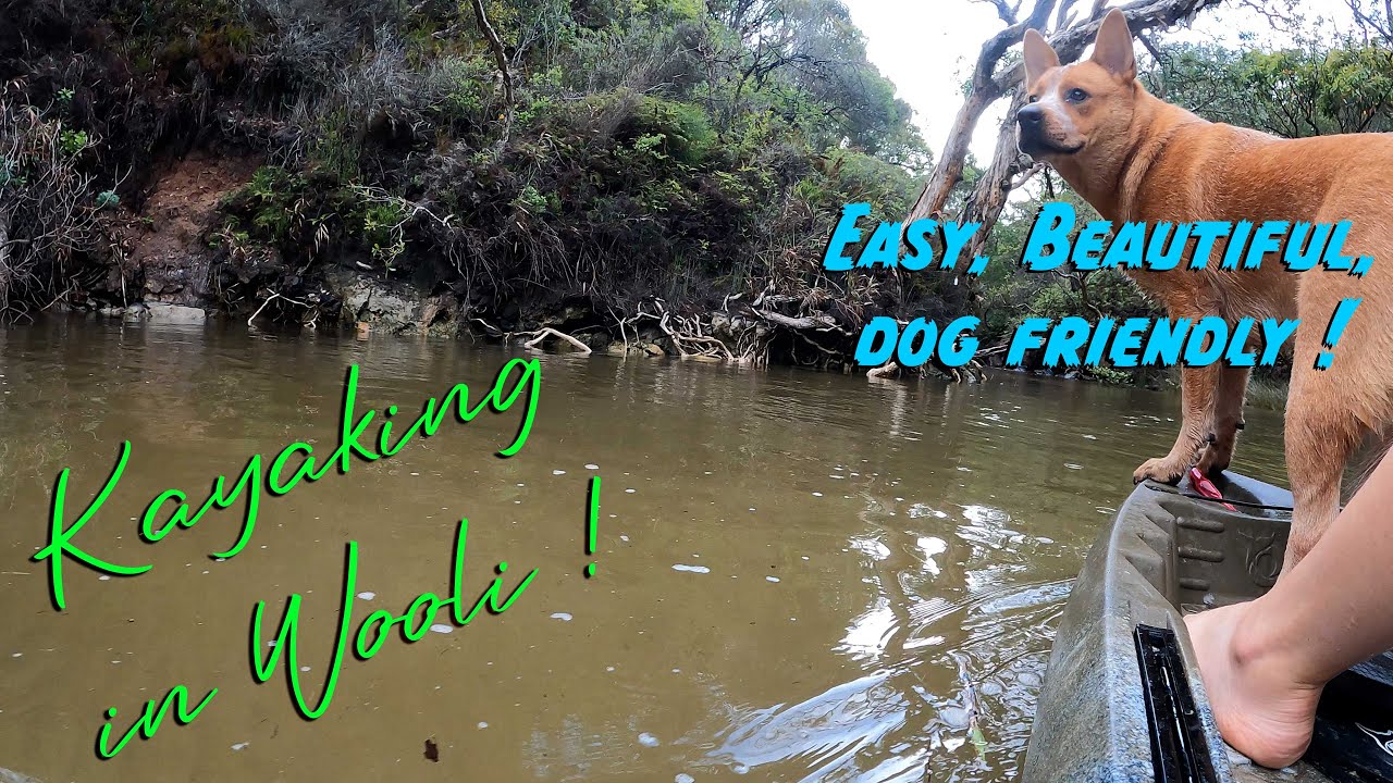 Dog Friendly Wooli ! | Kayaking this beautiful beach town - YouTube