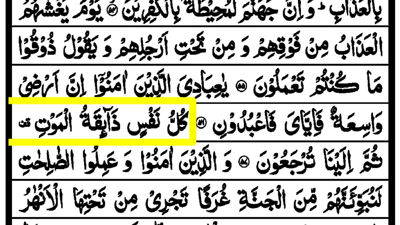 kullu nafsin zaikatul maut Beautiful Recitation || quran recitation ...