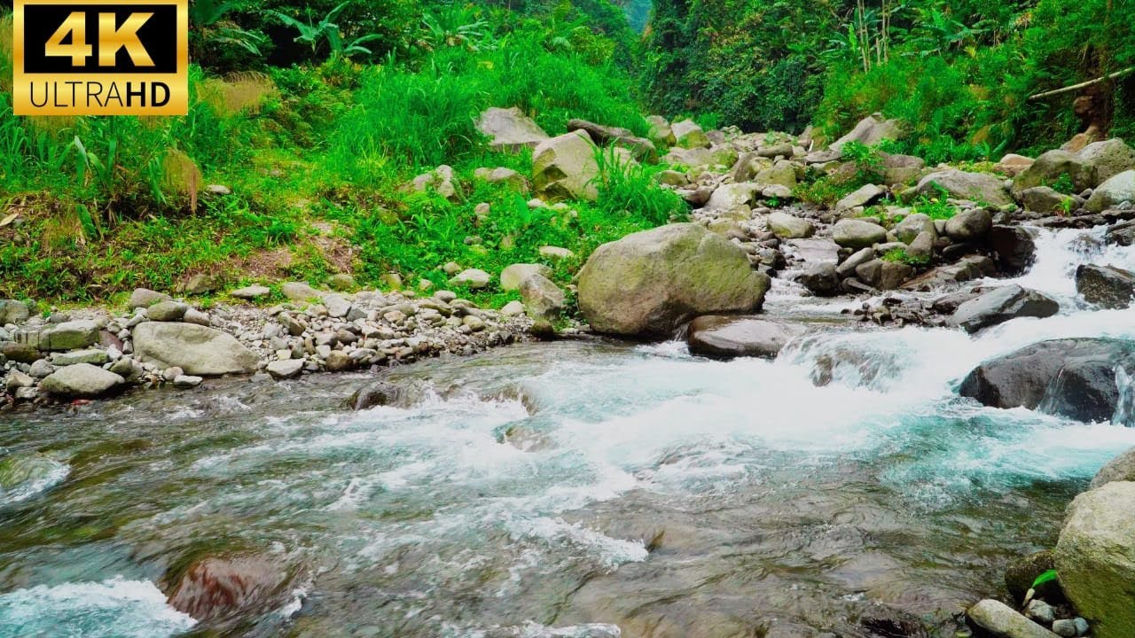 🌿 The Art of Relaxation: Water and Nature’s Magic from the Tropics in ...