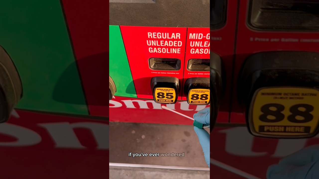 Bacteria on the gas pump buttons? #microbiology #bacteria #science # ...