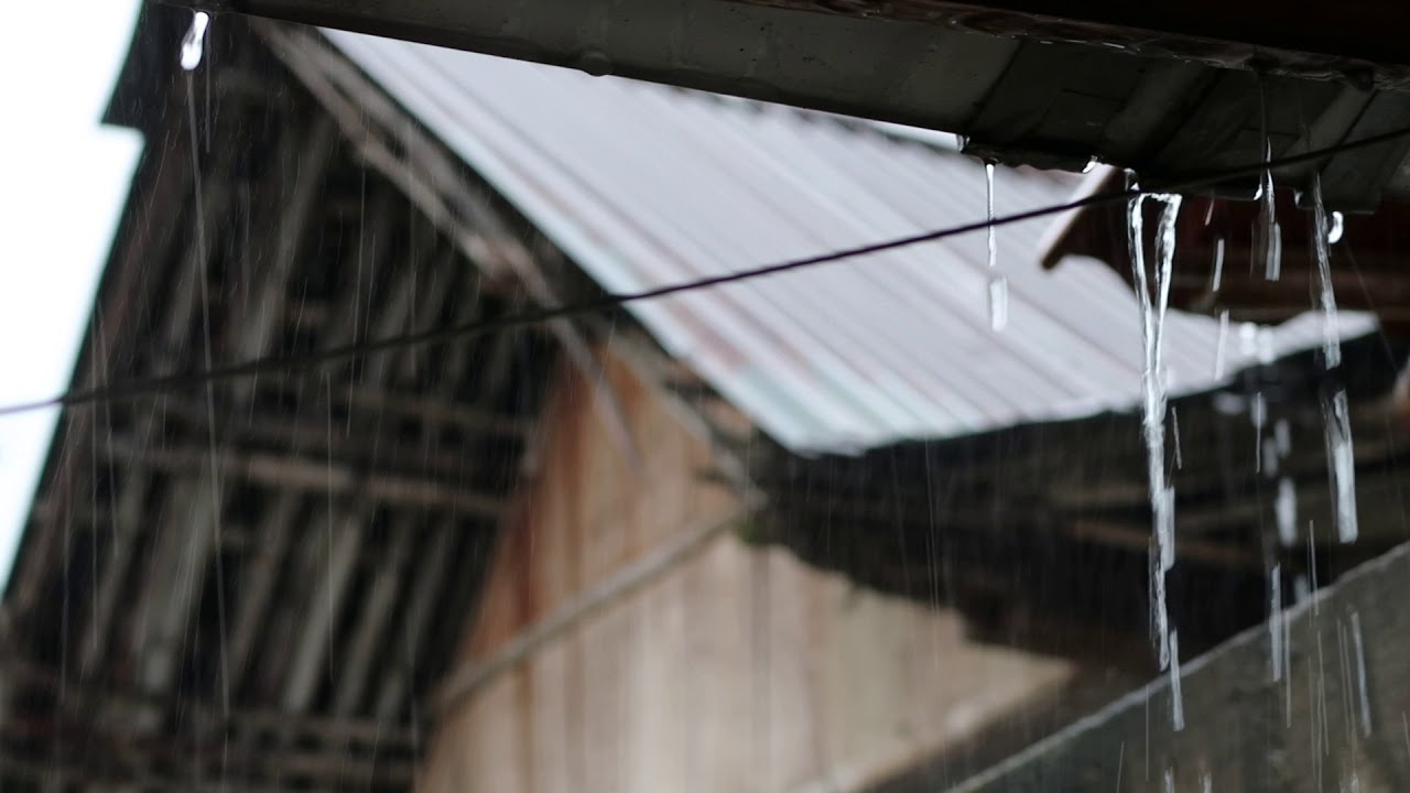 Royalty Free Rain Footage Drops Drips form roof, Rain SOunds, Water ...