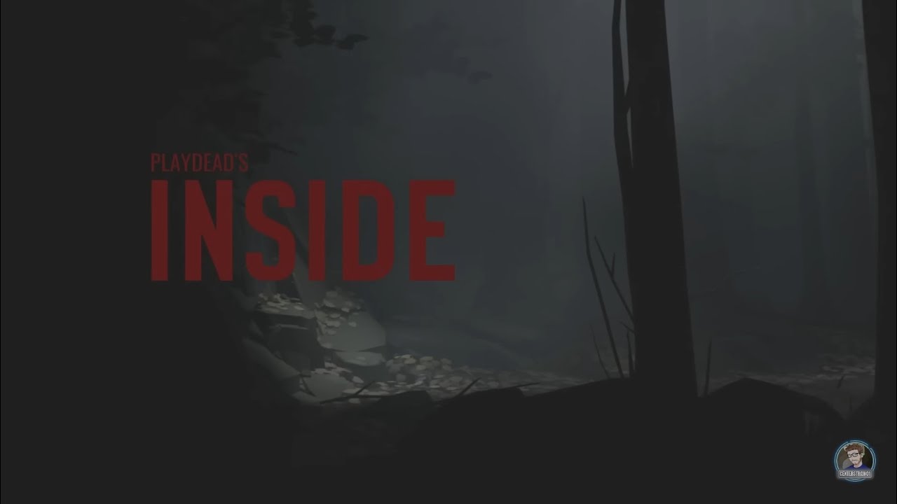 Inside Game play on Android - YouTube