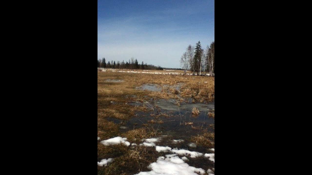 Mantracker - YouTube