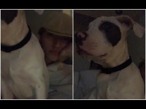 Lucky Blue Smith | Instagram Live Stream | December 1, 2017