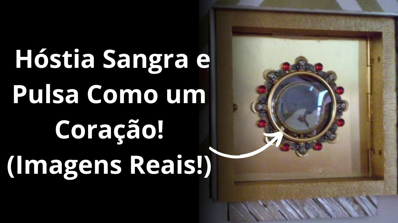 Milagre Eucarístico Incrível: Hóstia Sangra e Pulsa Como um Coração ...