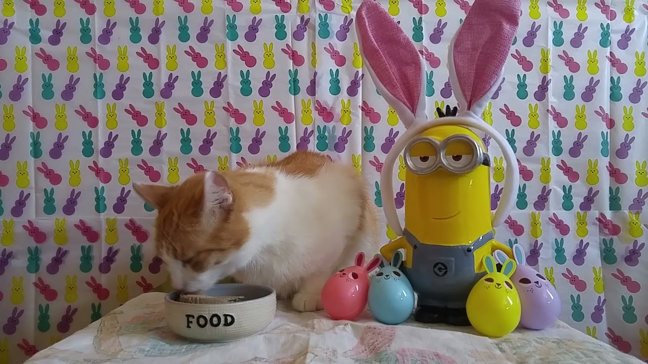 MINION EASTER AND LEO - YouTube