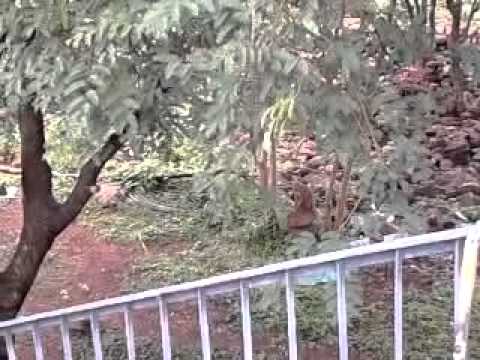 SIKHARAM TEMPLE.. SRISAILAM - YouTube