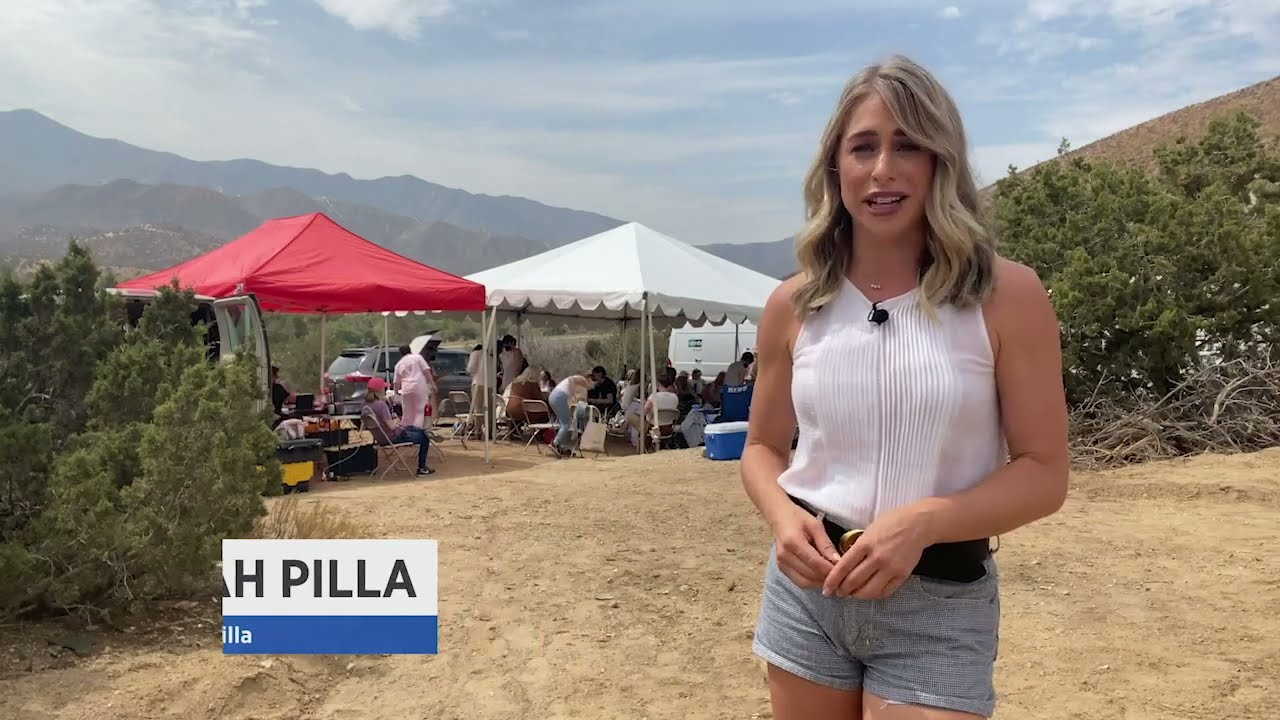 Transgender Talent - YouTube