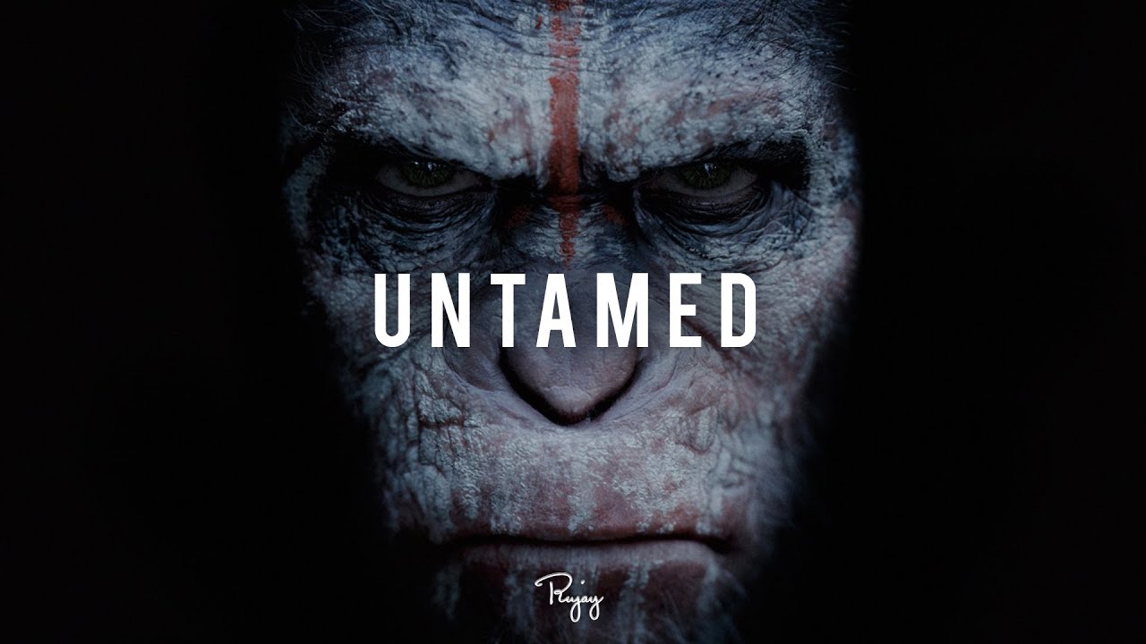 "Untamed" - Aggressive Rap Beat | Free Trap Hip Hop Instrumental Music ...