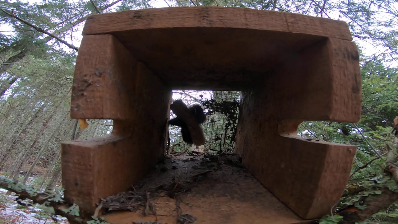 Trapping 101.7 ep 136.Martin set - YouTube