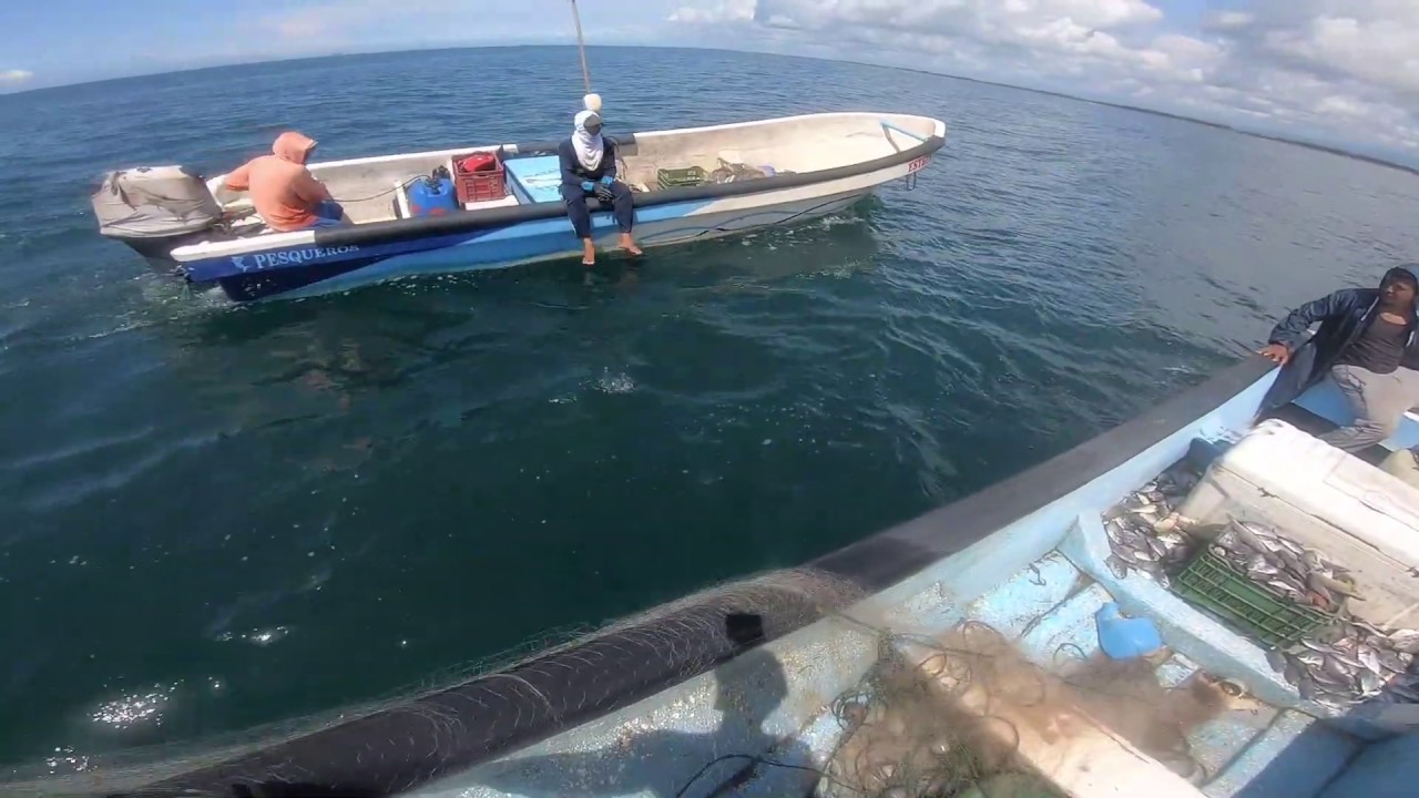 Esto es pesca con redes, se nos hizo lazo el trasmallo - YouTube