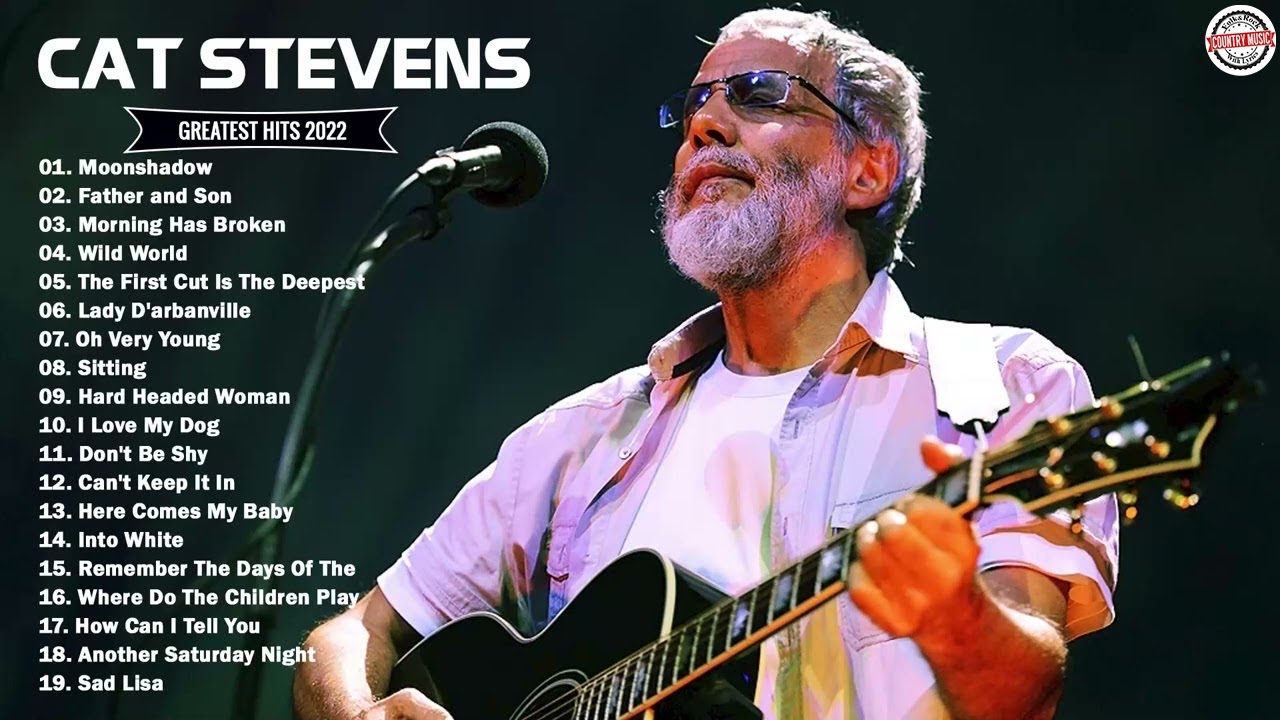 Cat Stevens, John Denver, Jim Croce, Don Mclean, Simon & Gafunkel ...