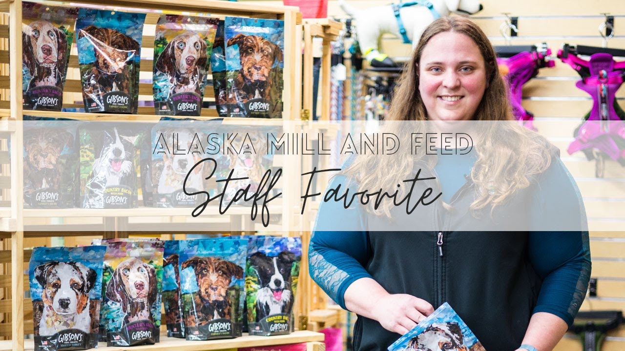 Staff Favorites: Kristy, Bella & Cosmo - Gibson Jerky Treats - YouTube