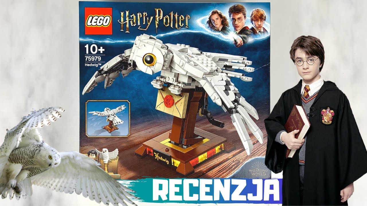 LEGO HARRY POTTER 75979 - HEDWIGA - RECENZJA - YouTube