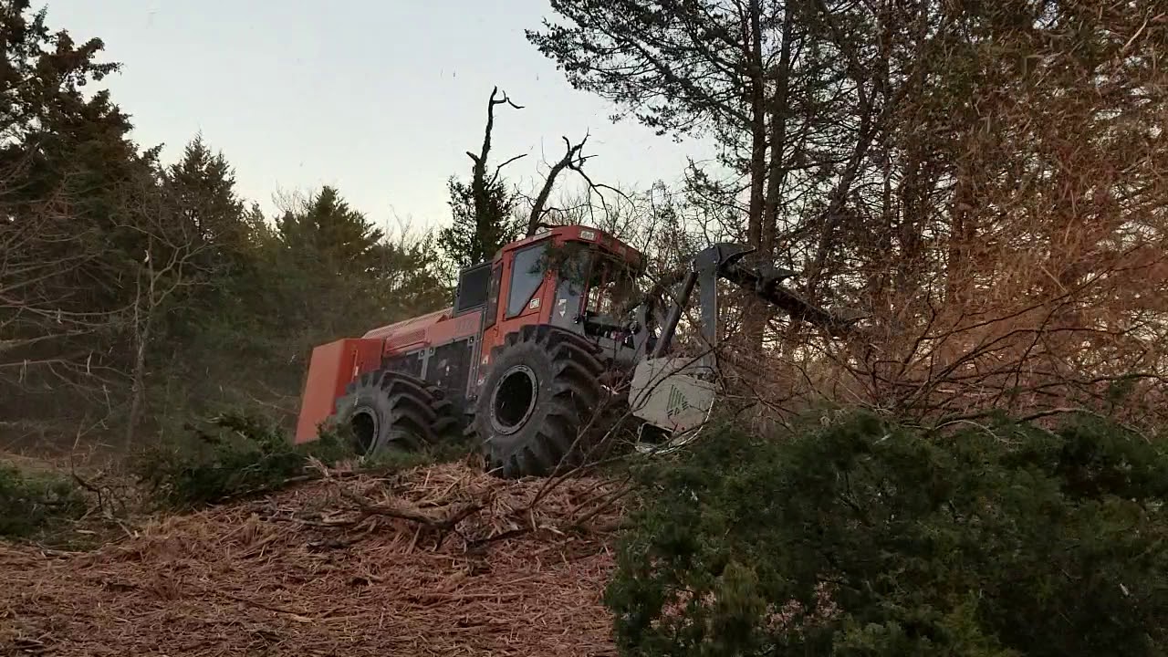 Barko 937B cutting cedars - YouTube