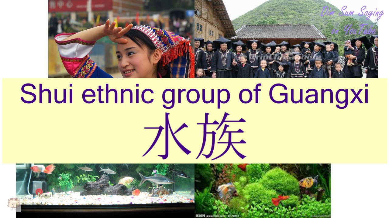 "SHUI ETHNIC GROUP OF GUANGXI" in Cantonese (水族) - Flashcard - YouTube