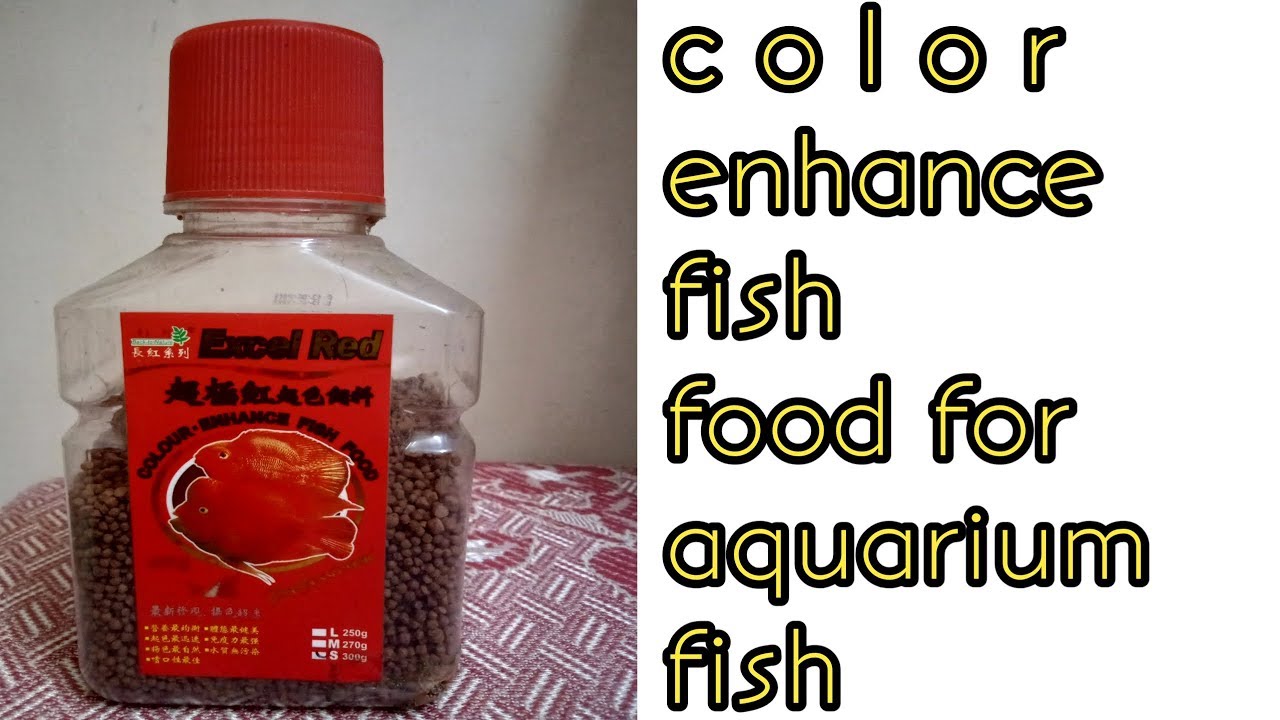 excel red fish food for better colors and growth - YouTube