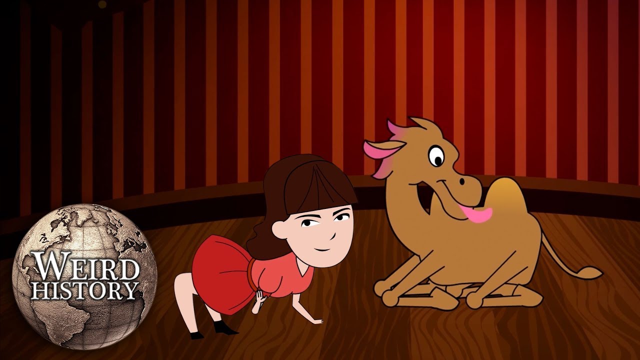 Ella Harper: The "Camel Girl" Who Became The Biggest Circus Act of the ...