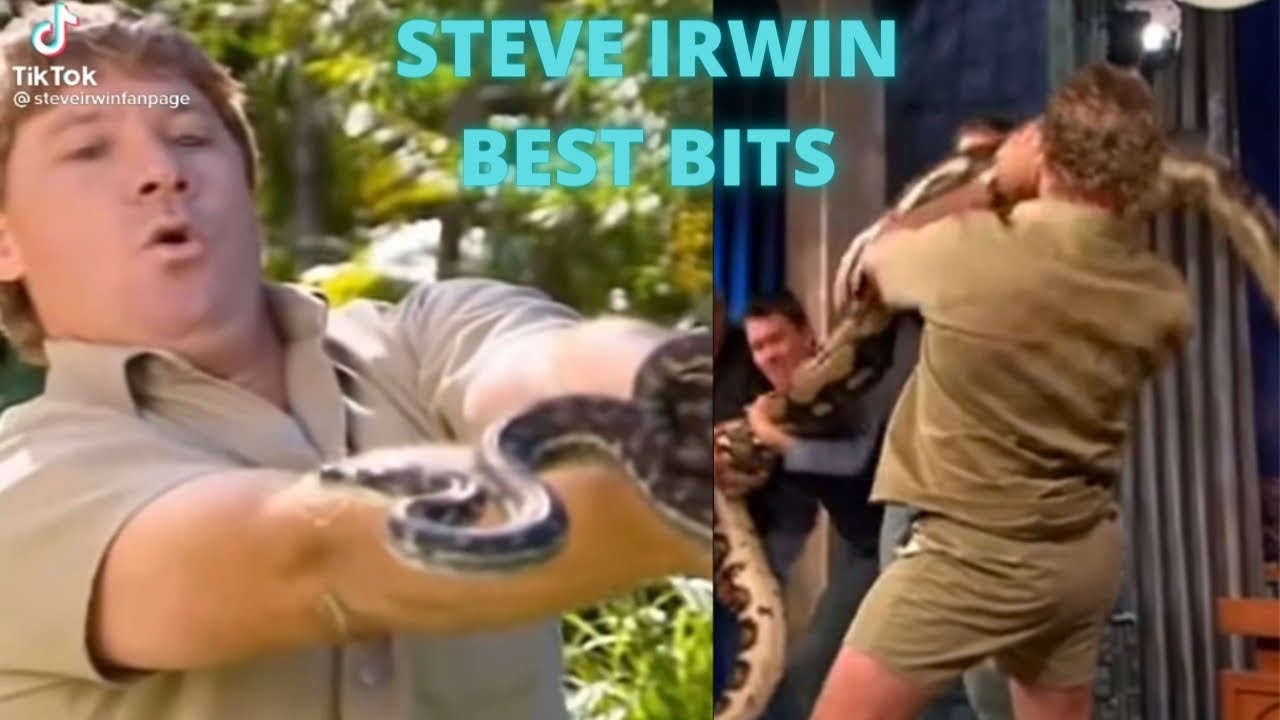 STEVE IRWIN Best Bits | The Most Funny and Scary Steve Irwin Moments ...