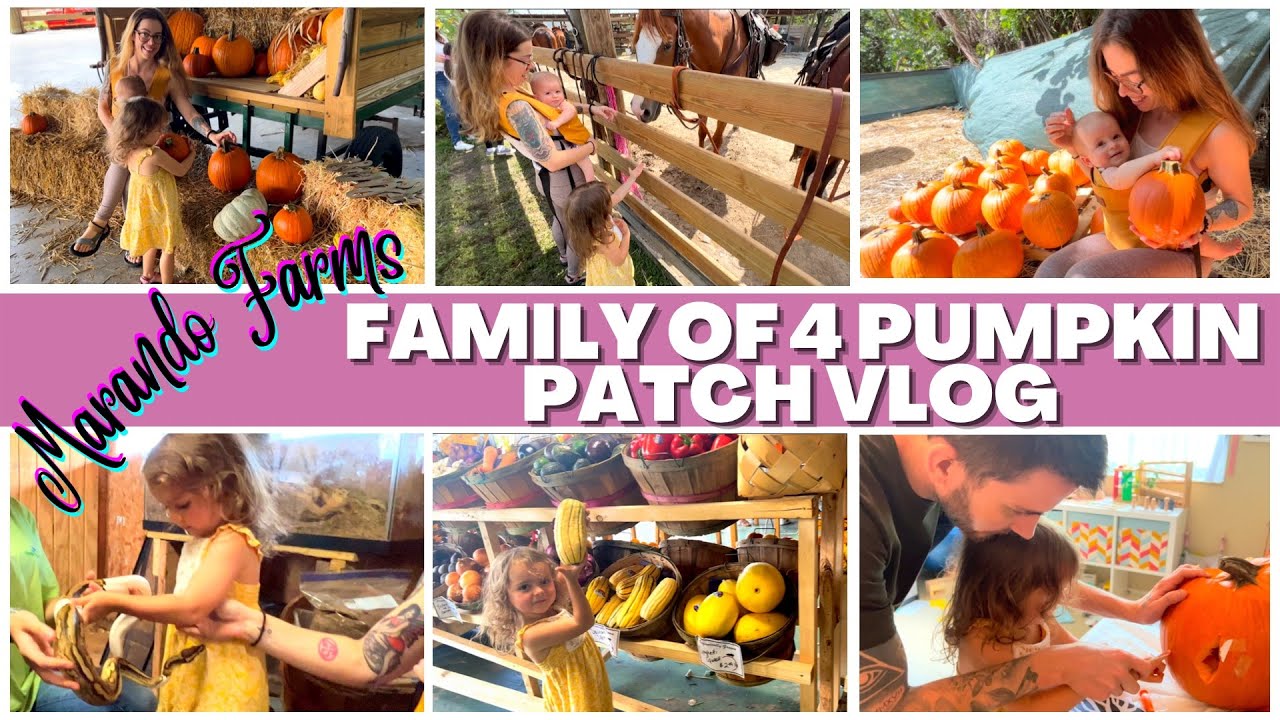 FAMILY OF 4 PUMPKIN PATCH VLOG | MARANDO FARMS FALL 2022 - YouTube