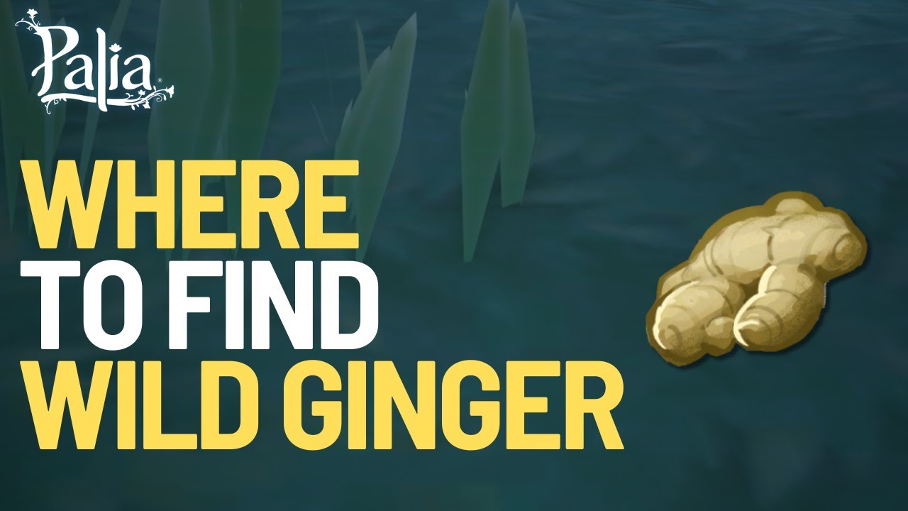 Where to Find Wild Ginger in Palia - YouTube