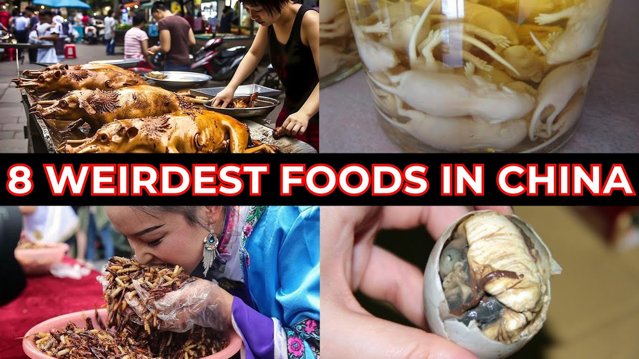 8 Weirdest Foods In China Explained In 10 Minutes | China Analyst - YouTube
