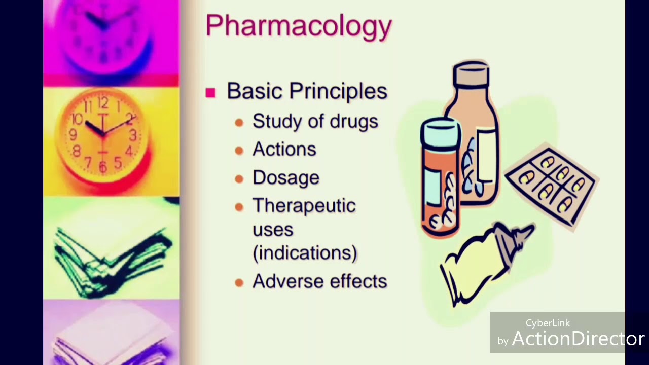 Basic info - YouTube