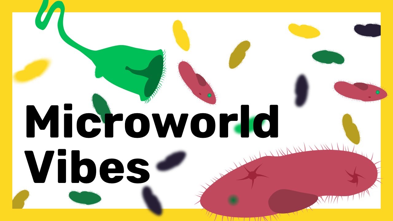 11 Minutes of Relaxing Microworlds - YouTube