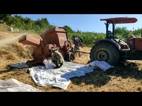 Patoz Sezonu
